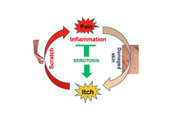 PsyPost - Psychology and Neuroscience Research News