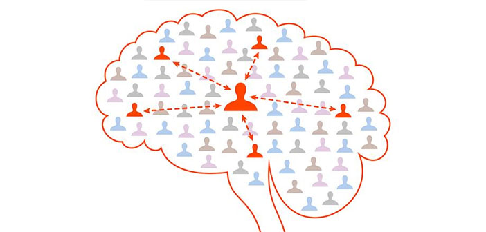 The brain's social network: Nerve cells interact like friends on Facebook
