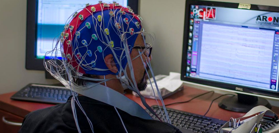 Eeg Brain Language