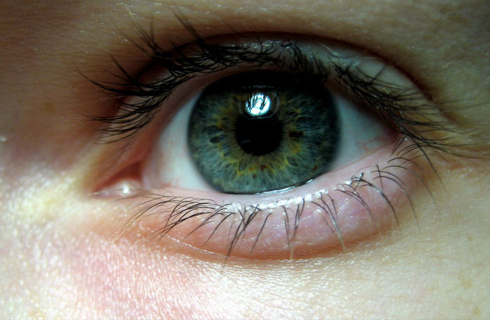 Study rebuts the gaze aversion hypothesis in autism