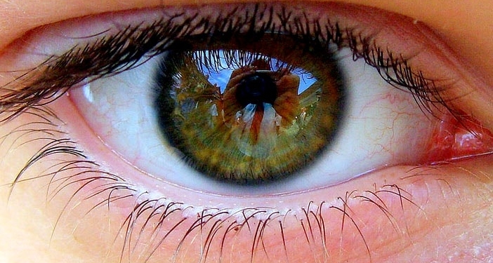 Study: Women view men with a limbal ring as healthier -- and more ...
