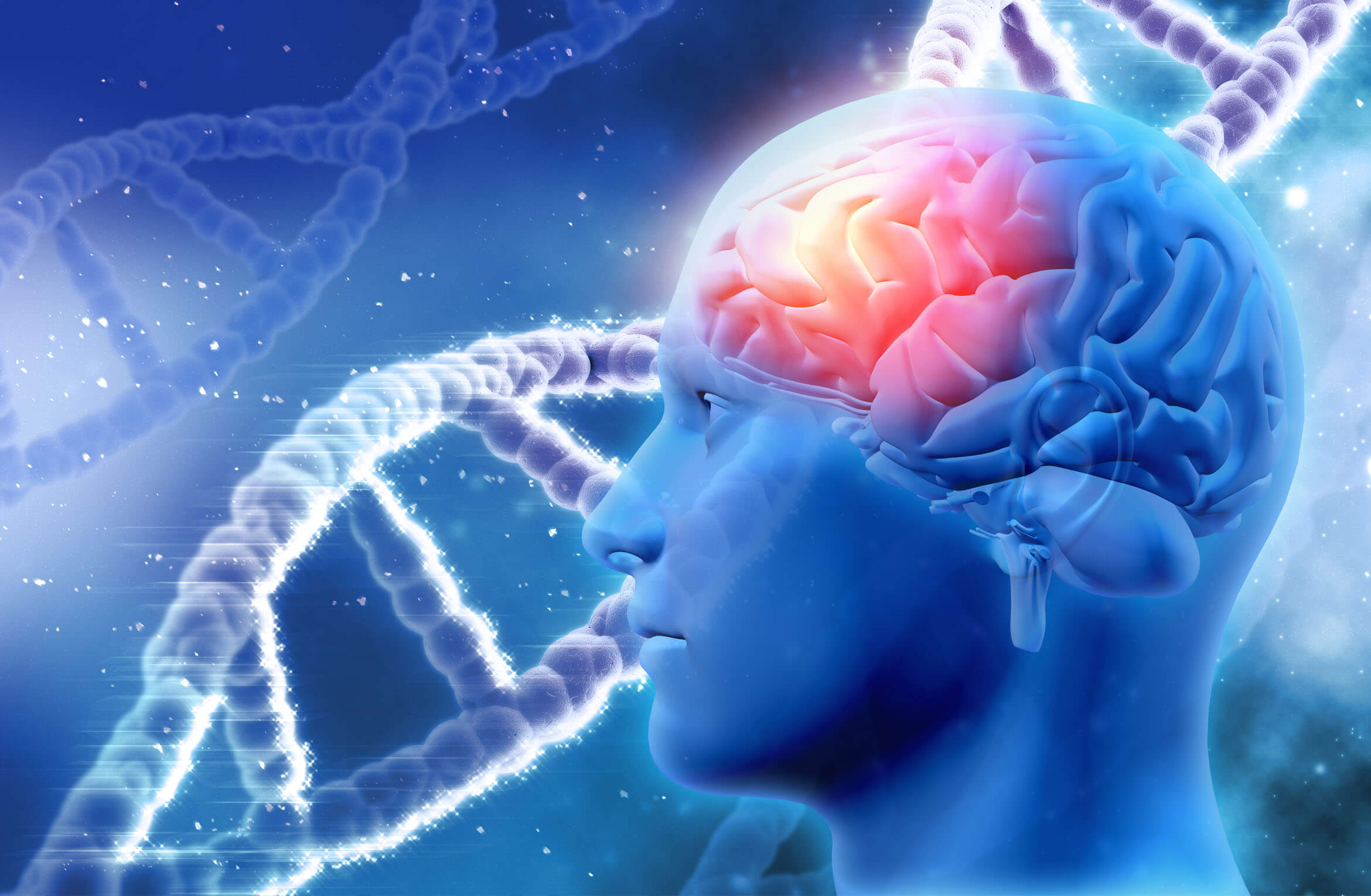 Twin study sheds light on genetic influences on loneliness