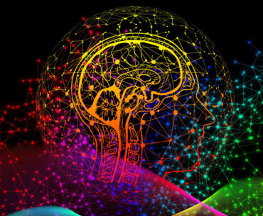 Latest News About Cognitive Science
