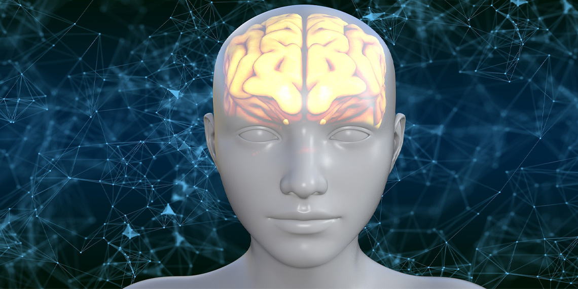 New evidence points to an independent, specifically social visual pathway