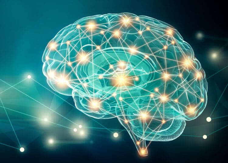 Latest News About Neuroimaging