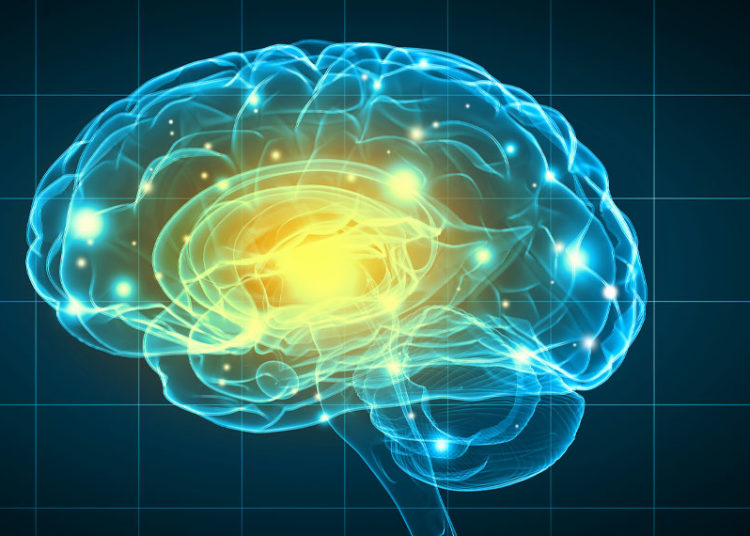 Latest News About Cognitive Science