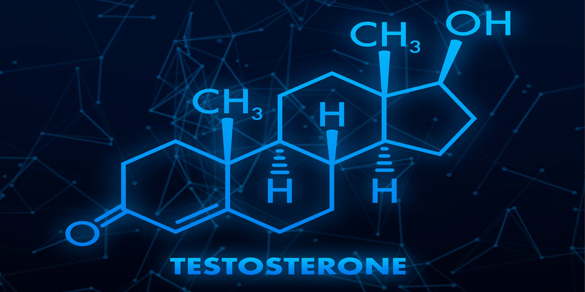 Higher prenatal testosterone exposure is linked to Machiavellianism and ...