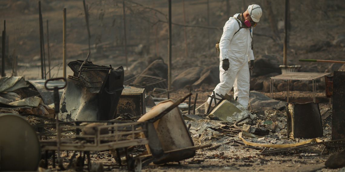 Climate change trauma has real impacts on cognition and the brain ...