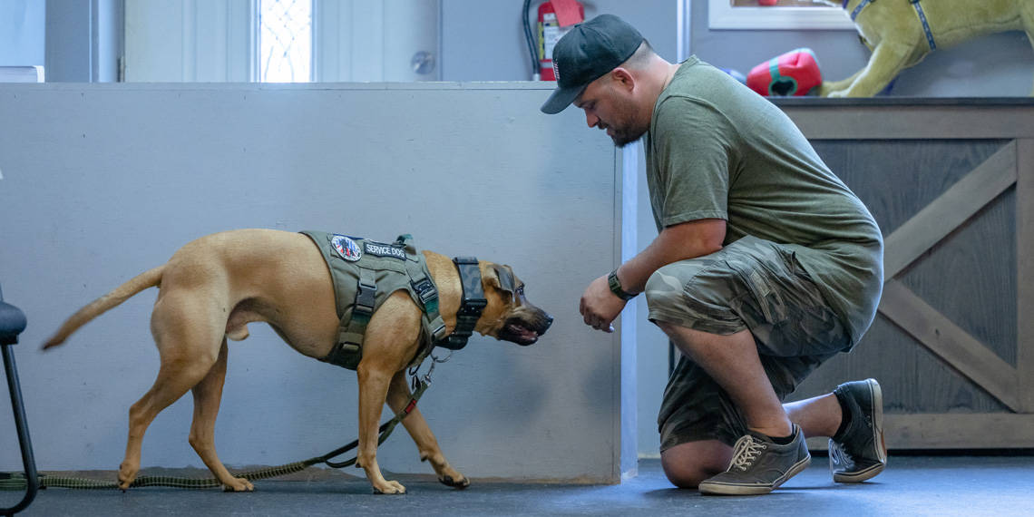 Contact with a service dog might help individuals with PTSD sleep ...