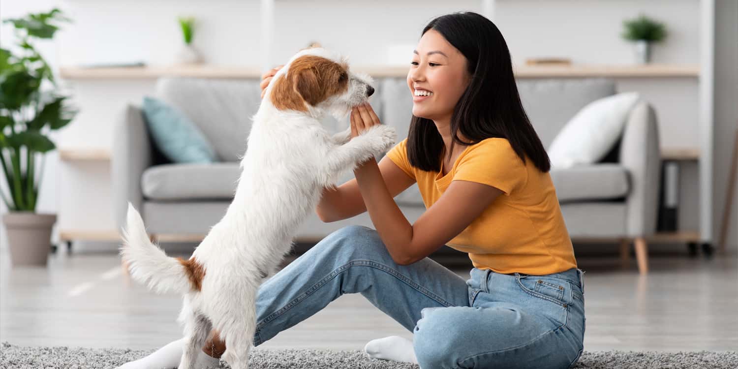 Women use a higher-pitched voice when speaking to unfamiliar dogs