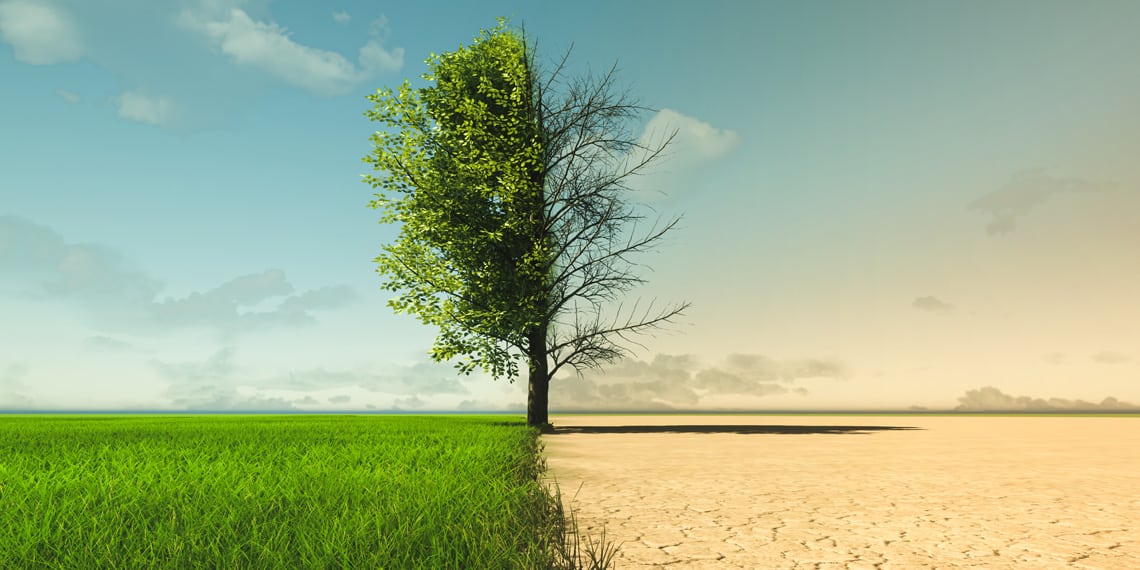 Heightened climate change concerns in adolescents linked to lower life ...