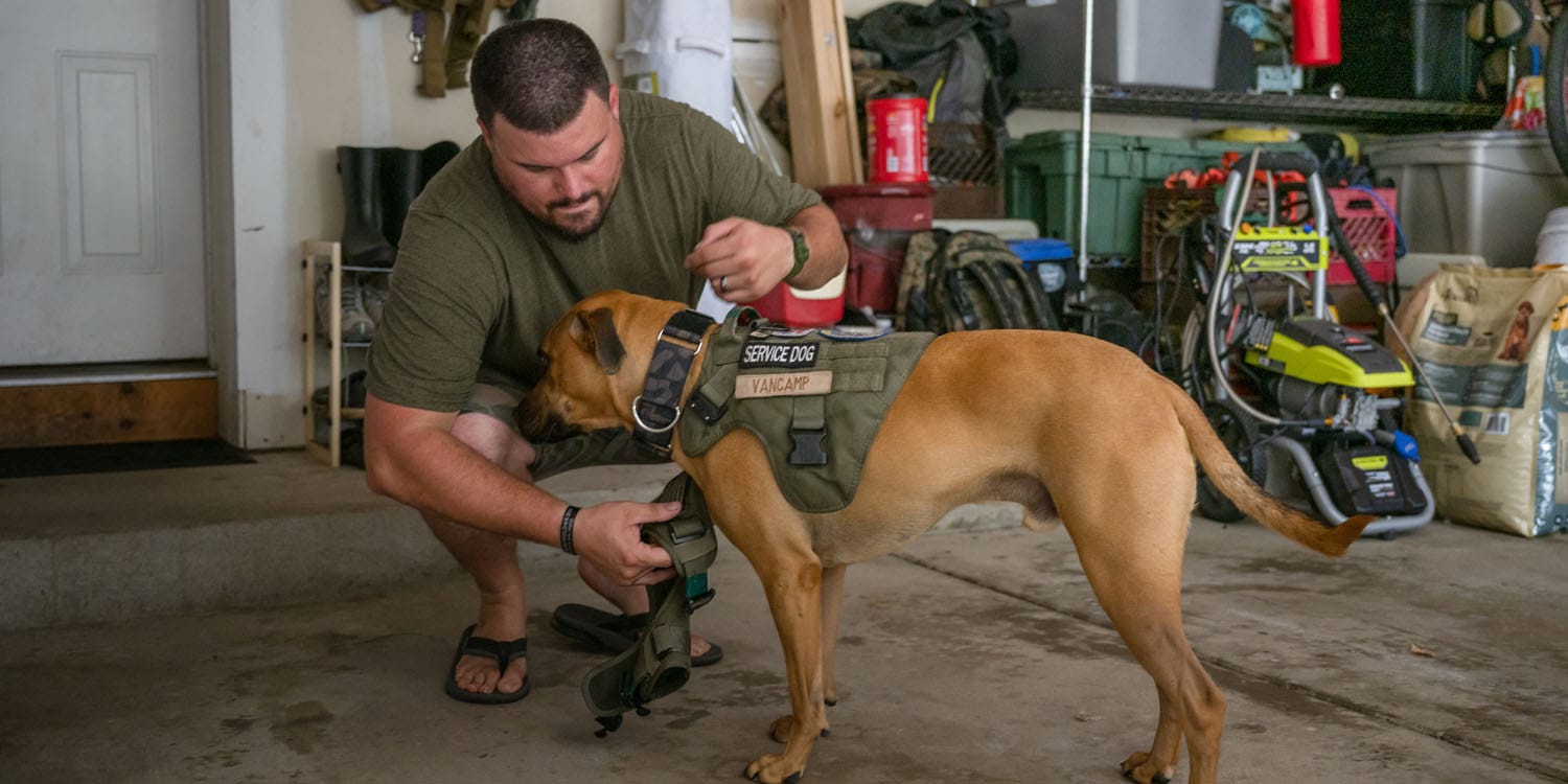 Service dogs appear to enhance mental health and social functioning for ...