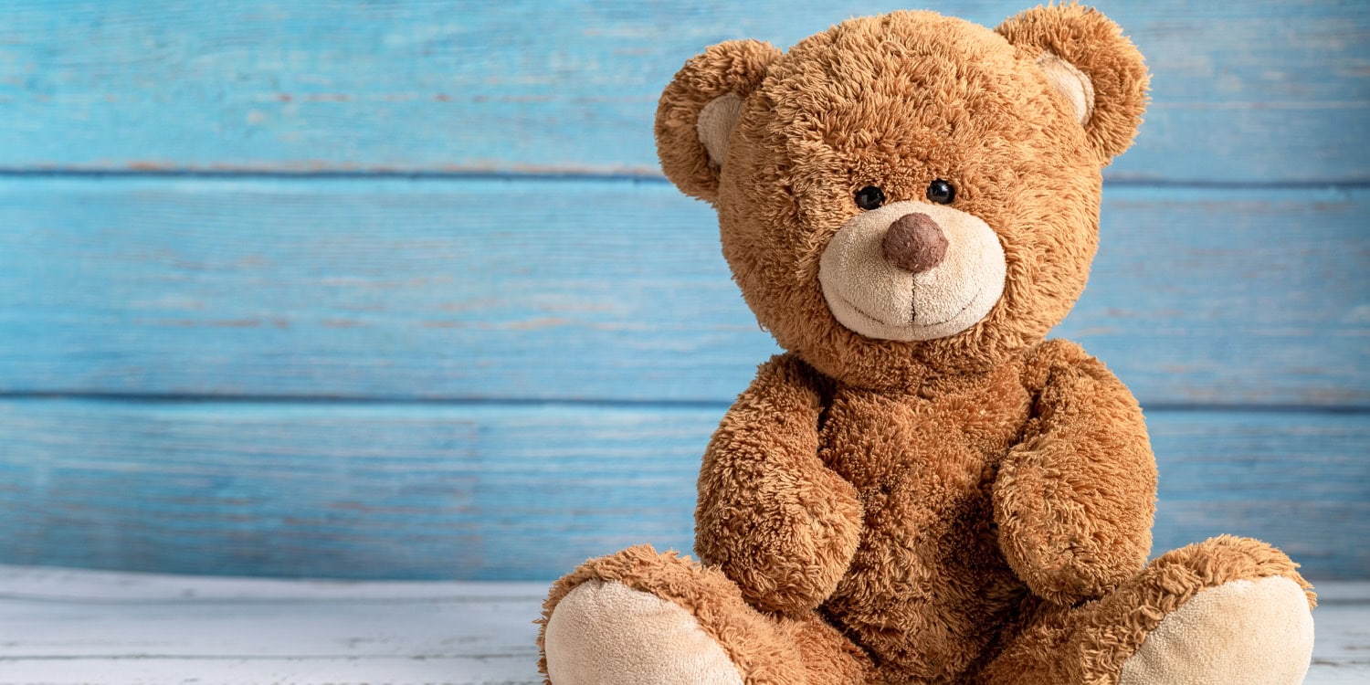 What teddy bears reveal about comfort and care