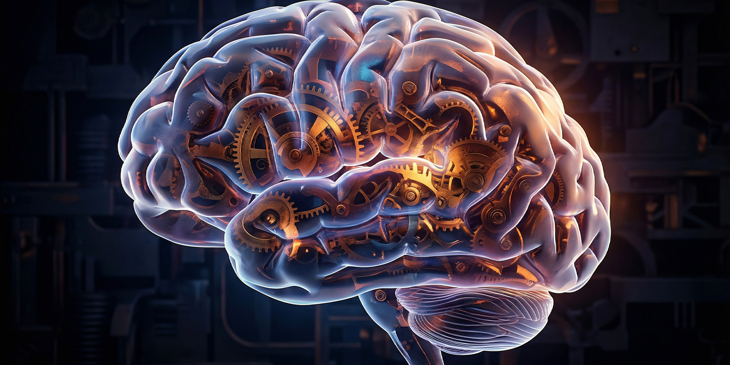 First test of a new neuroscience theory shows how smart brains ...
